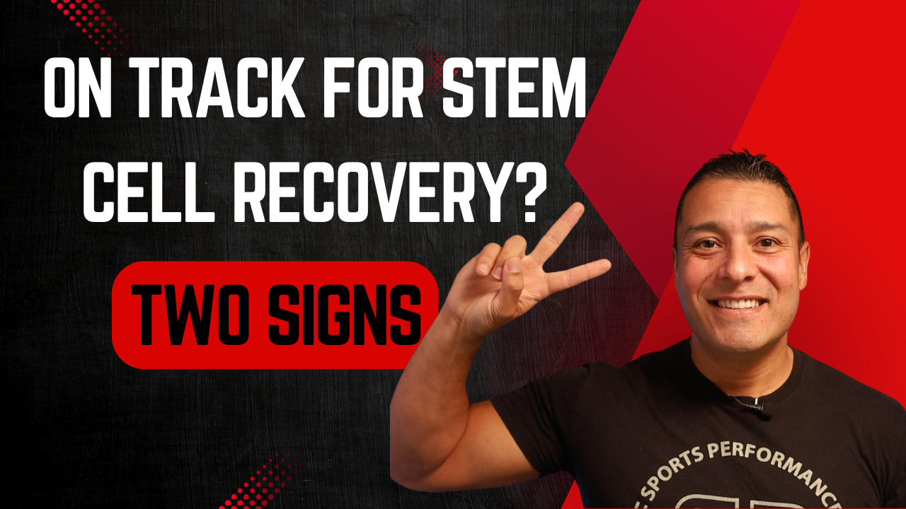 Two Key Signs Your Stem Cell Recovery Is on Track - Stem Cell Recovery ...